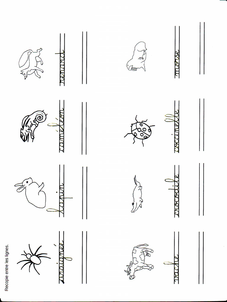 Fiche Maternelle Ecriture Animaux2 | PDF