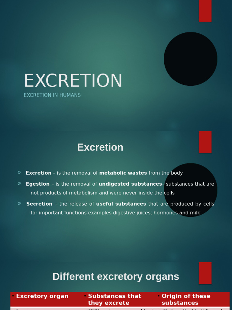 Excretion | PDF | Excretion | Urine