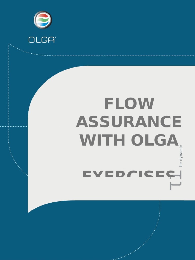 FA With OLGA Exercises 20070522 | PDF | Flow Measurement | Fluid Dynamics