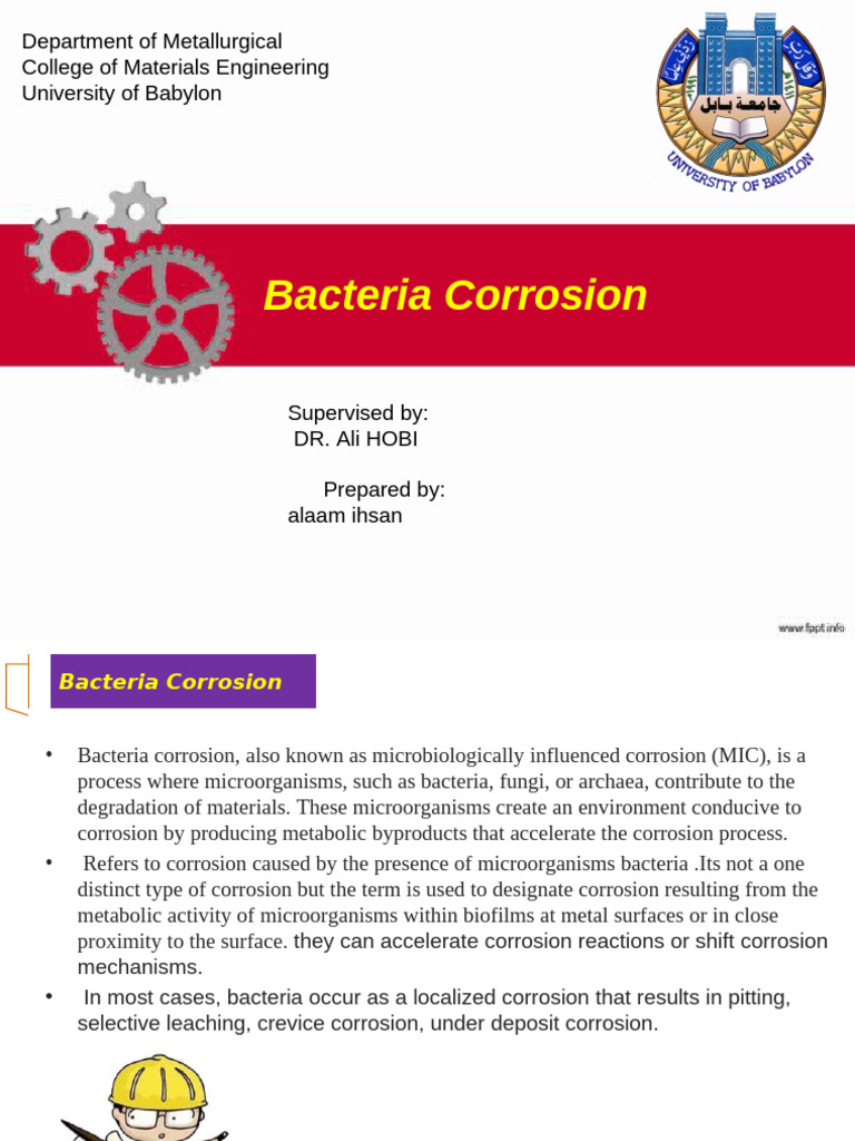 Microbiological Corrosion | PDF | Corrosion | Biofilm