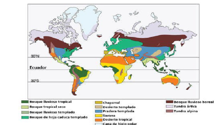 Biomas en El Mundo | PDF