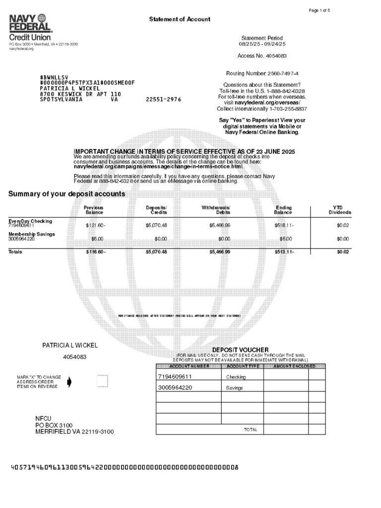 Navy Federal Account Statement Summary | PDF | Debit Card | Overdraft