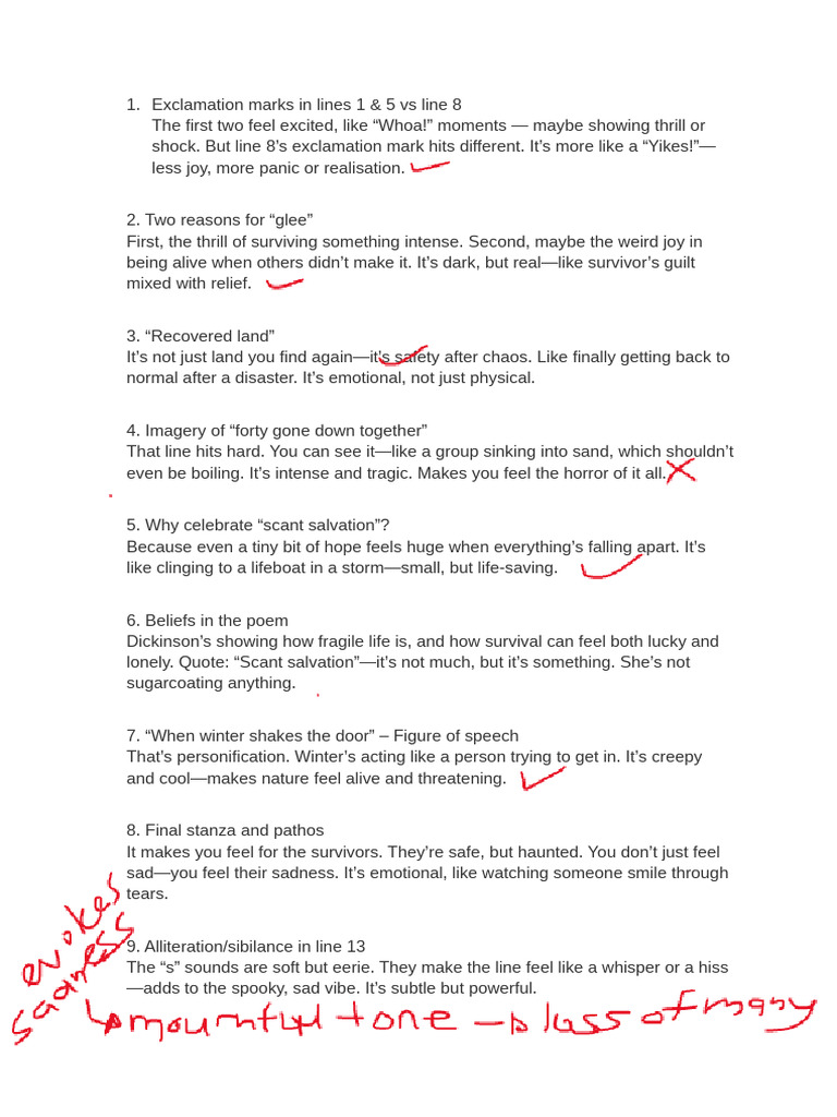Analysis of Dickinson's Shipwreck Poem | PDF