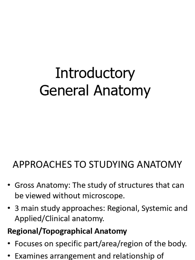 Introductory General Anatomy | PDF | Lymphatic System | Anatomical ...