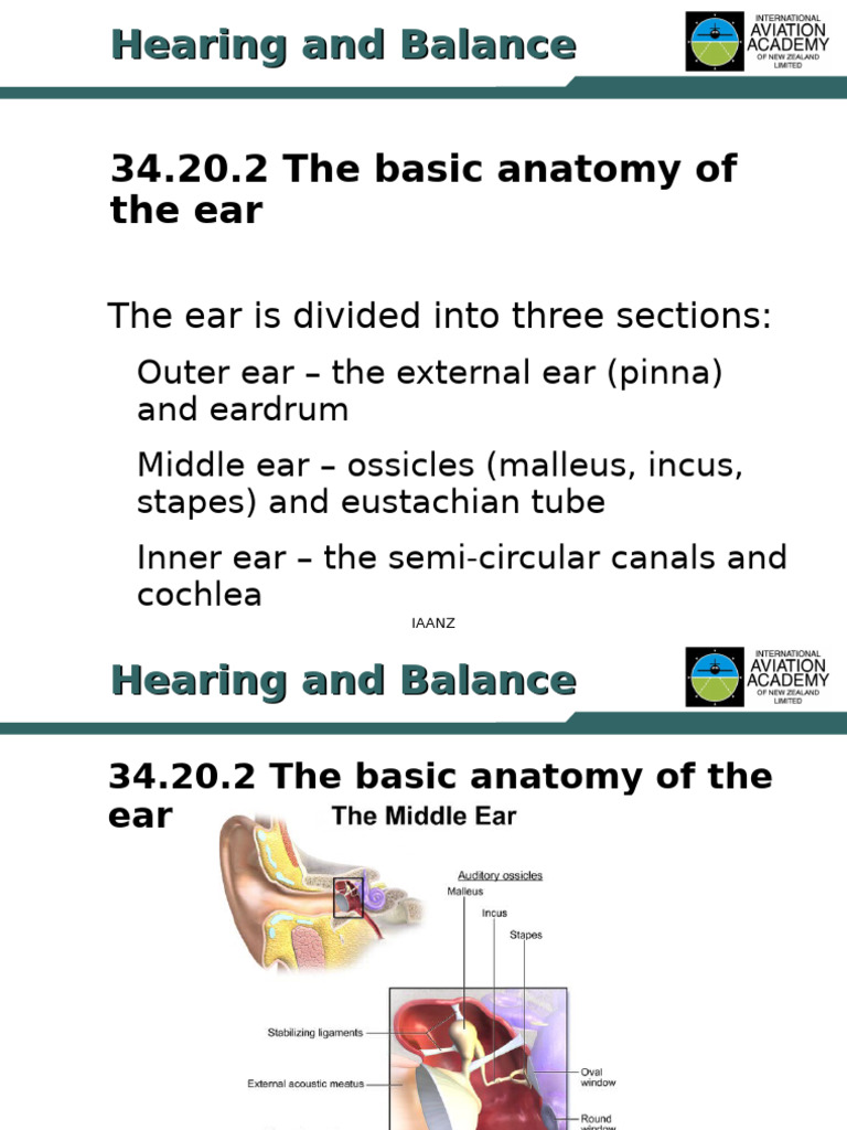 CPL at PL Human Factors Day 3 | PDF | Hearing | Ear