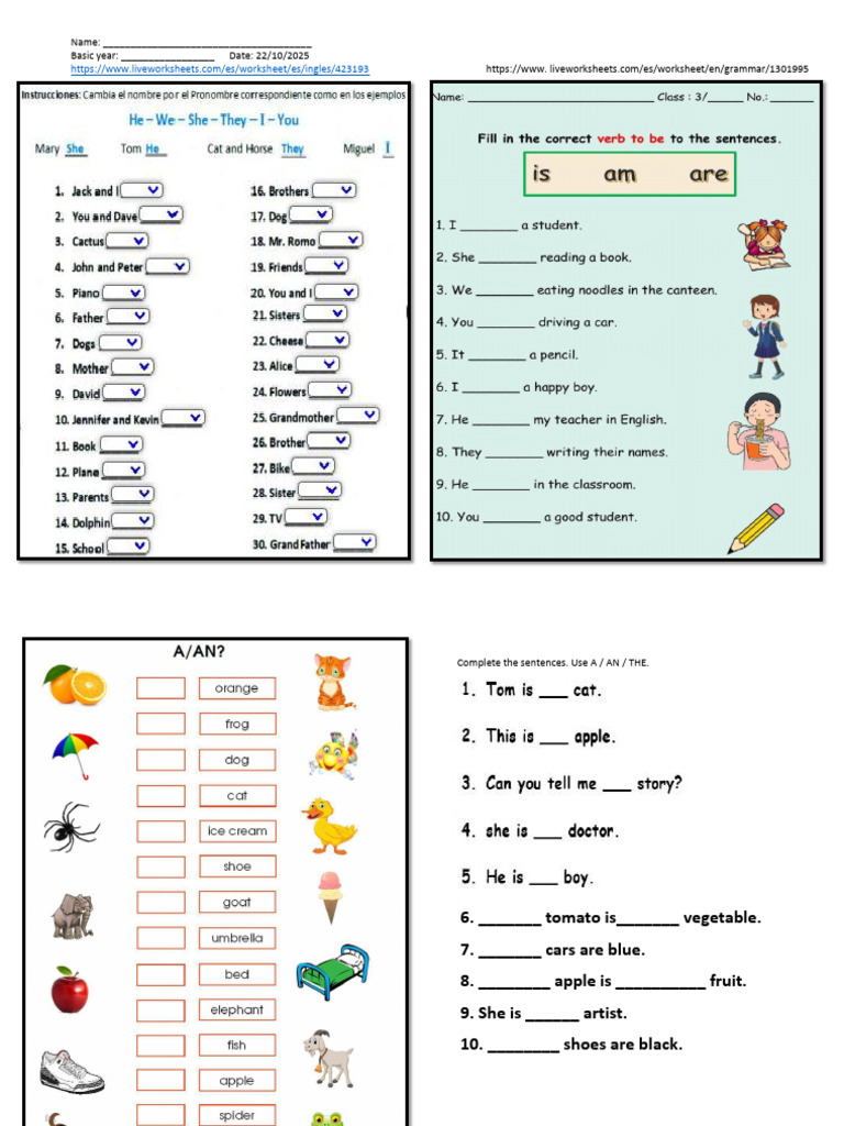 Fill in A/AN/THE Grammar Exercise | PDF