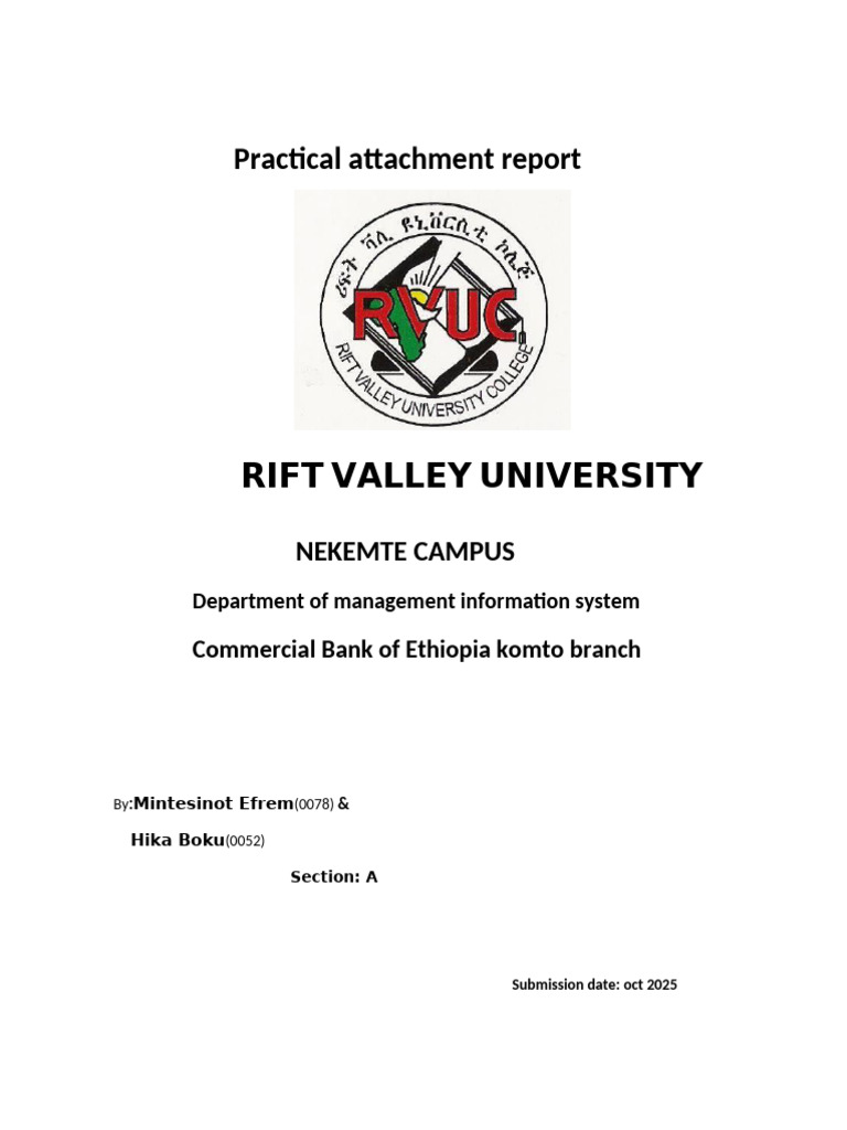 Minte Practical Attachment | PDF | Banks | Transaction Account