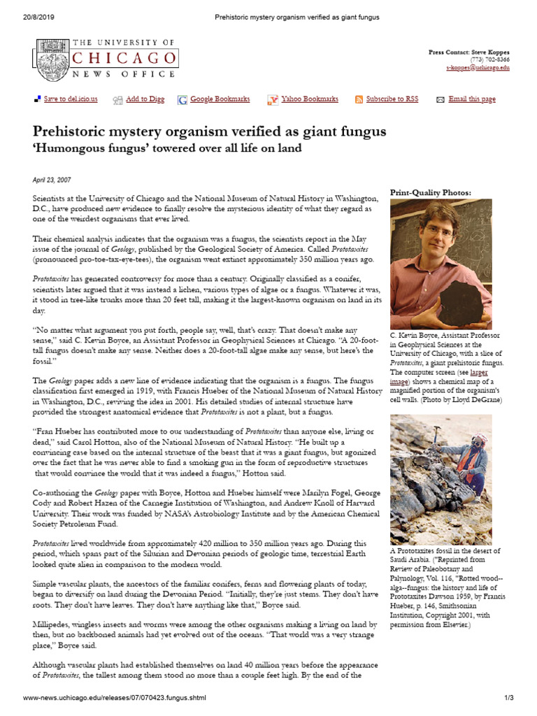 Prehistoric Mystery Organism Verified As Giant Fungus | PDF | Plants ...
