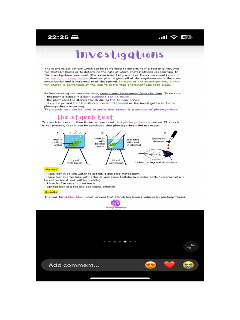 Photosynthesis Investigations StudySmartly | PDF