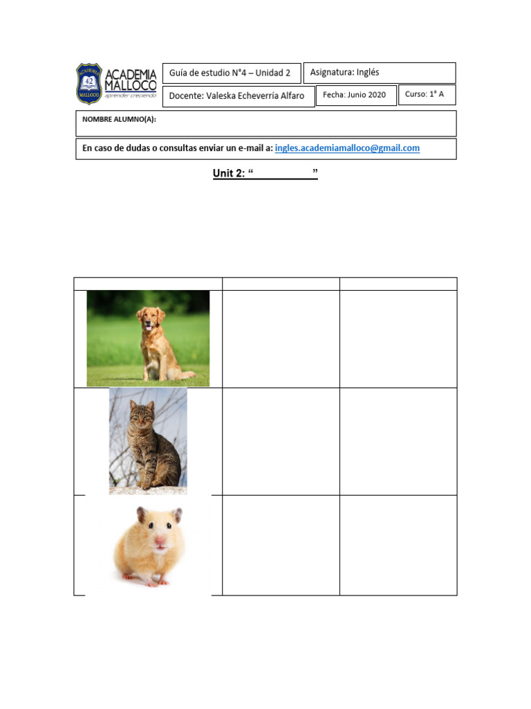 Vocabulario de Mascotas en Inglés | PDF
