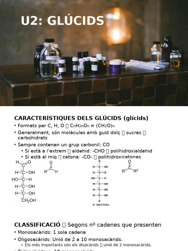 U2: Glúcids | PDF