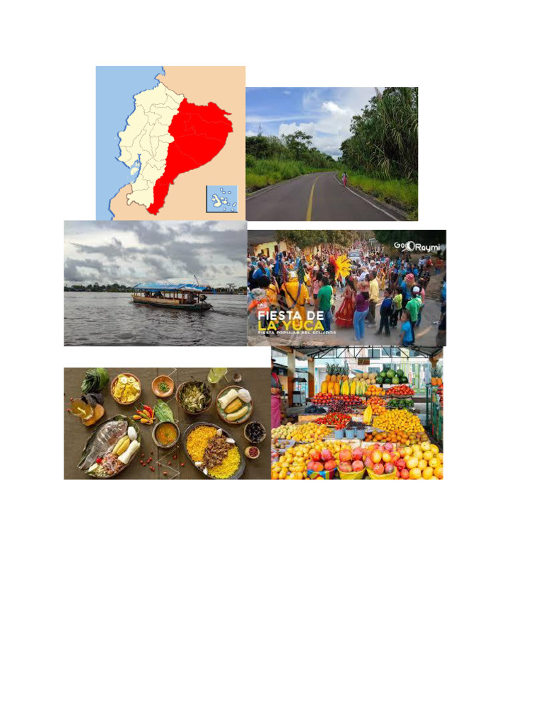 Bio Divers I Dad | PDF