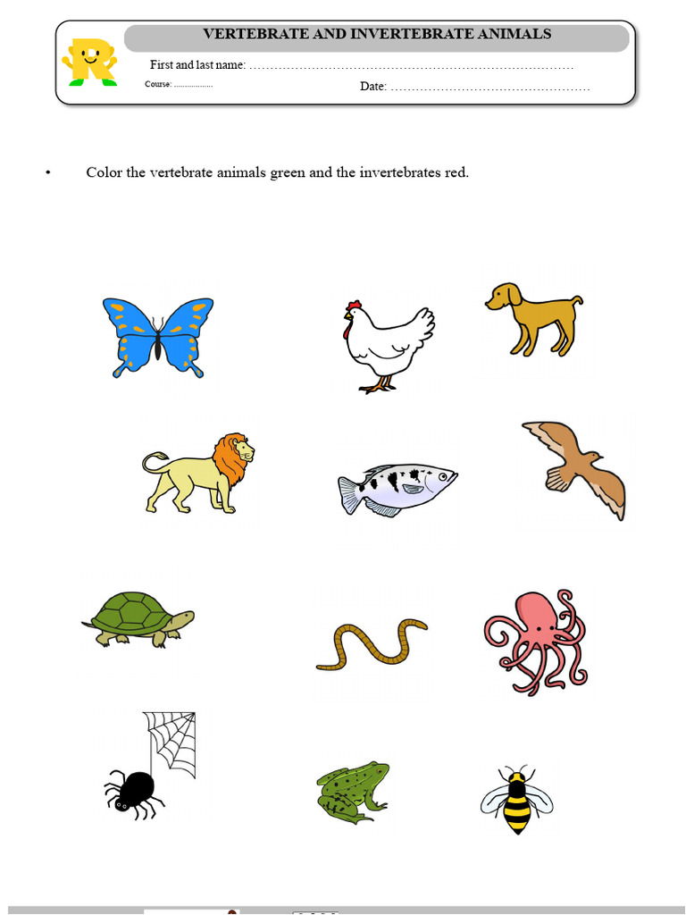 Vertebrate and Invertebrate Animals | PDF