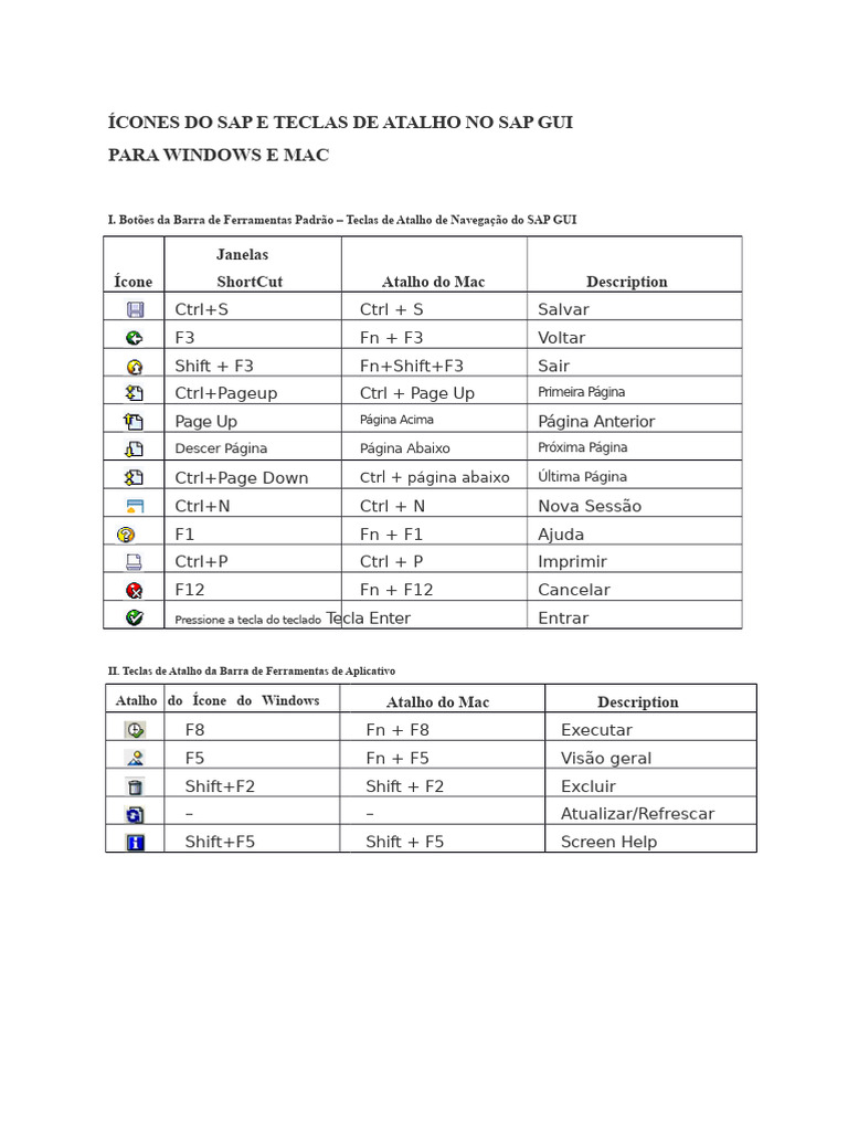 Ícones Do SAP e Teclas de Atalho No SAP GUI | PDF | Botão Ctrl | Teclado de computador