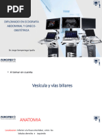 Vesícula en Porcelana y Signo de WES | PDF | Ciencia y matemáticas