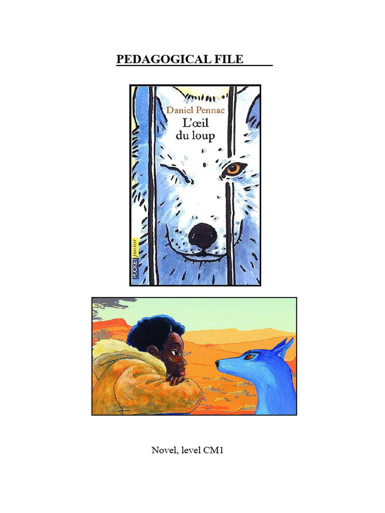 Pedagogical Activities for "The Eye of the Wolf" | PDF | Hypothesis