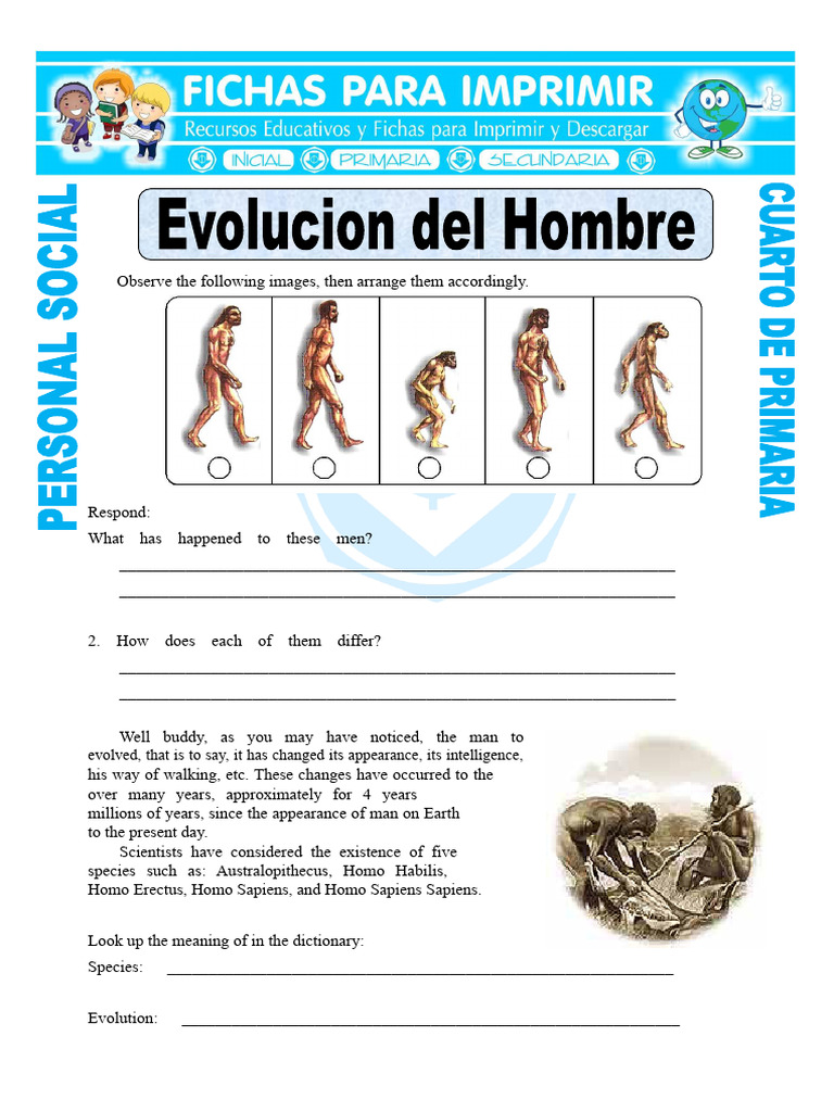 Evolution Chart of Man For Fourth Grade | PDF