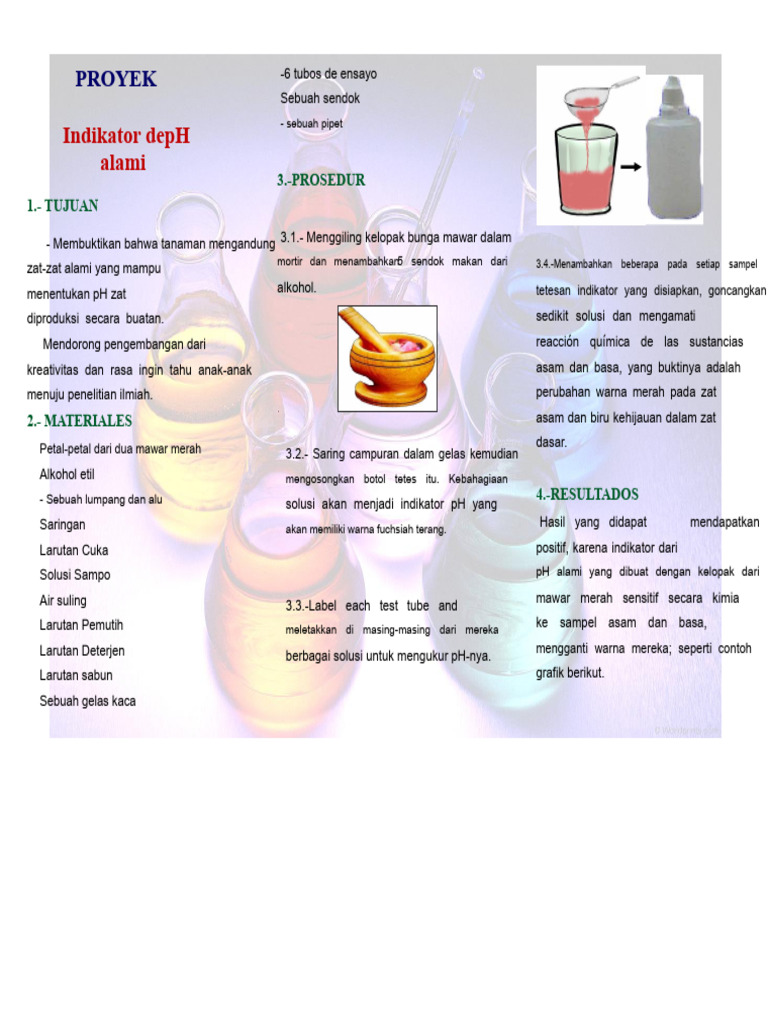 Indikator pH Alami dari Kelopak Mawar | PDF