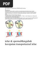 Leaflet Asuhan KB Suntik 3 Bulan | PDF