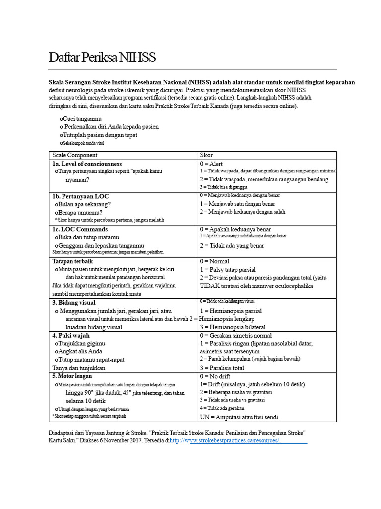 Daftar Periksa Skala NIHSS Stroke | PDF