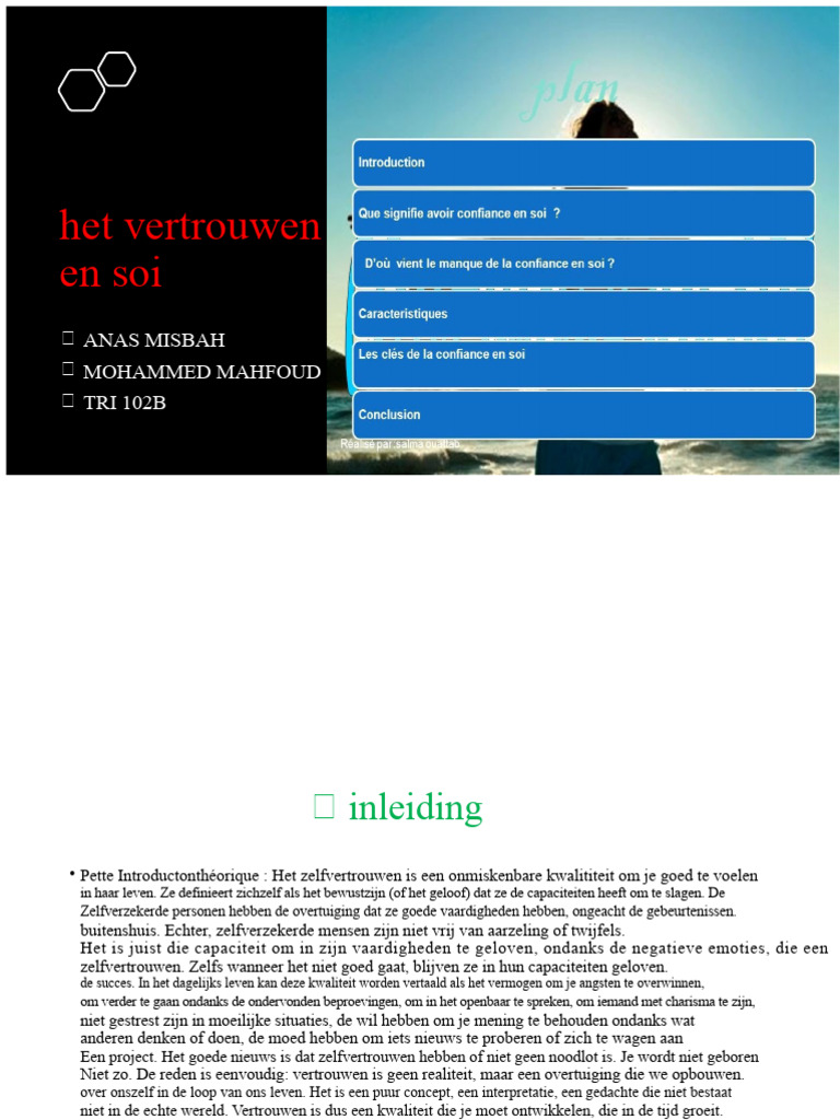 Zelfvertrouwen | PDF