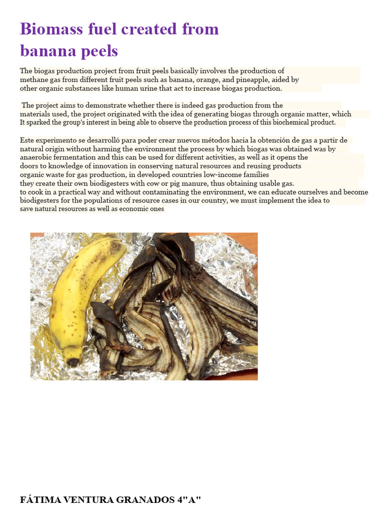Biofuel Created From Banana Peels | PDF