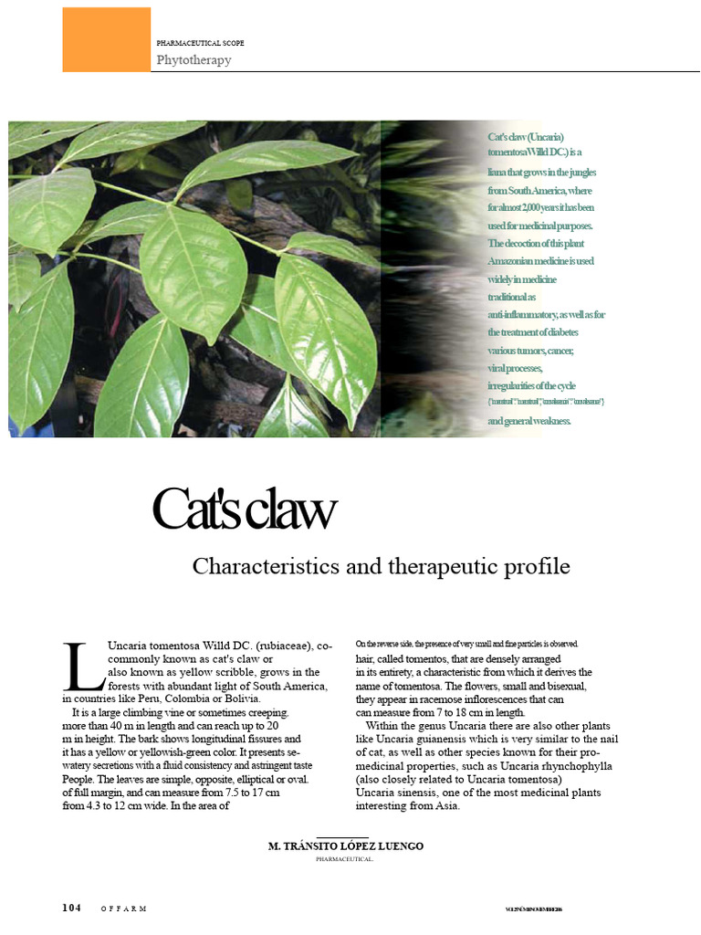 A Cat's Claw | PDF | Dose (Biochemistry) | Chemistry