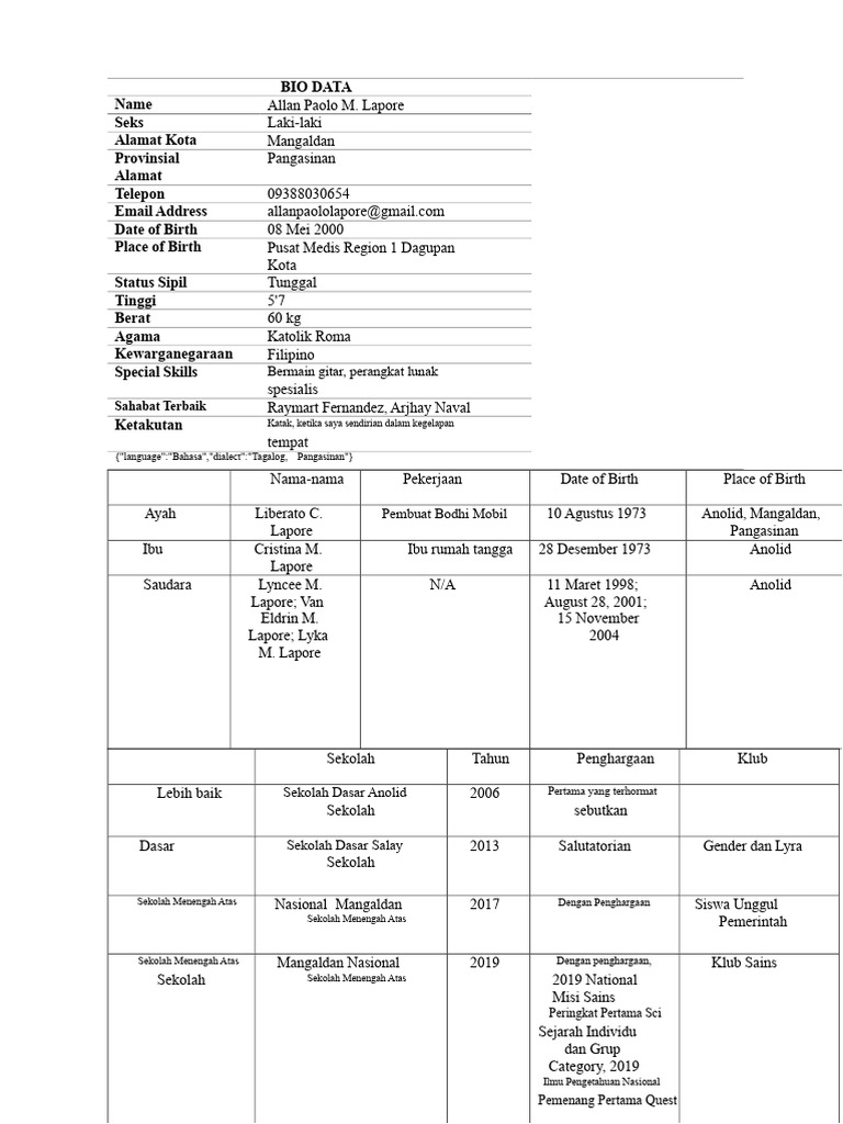 Bio Data Allan Paolo M. Lapore | PDF