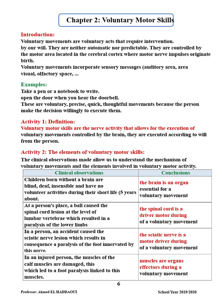 Voluntary Motor Skills Course My | PDF | Nerve | Brain