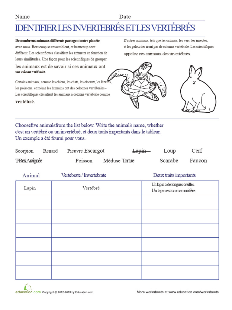 Classification des animaux : vertébrés vs invertébrés | PDF
