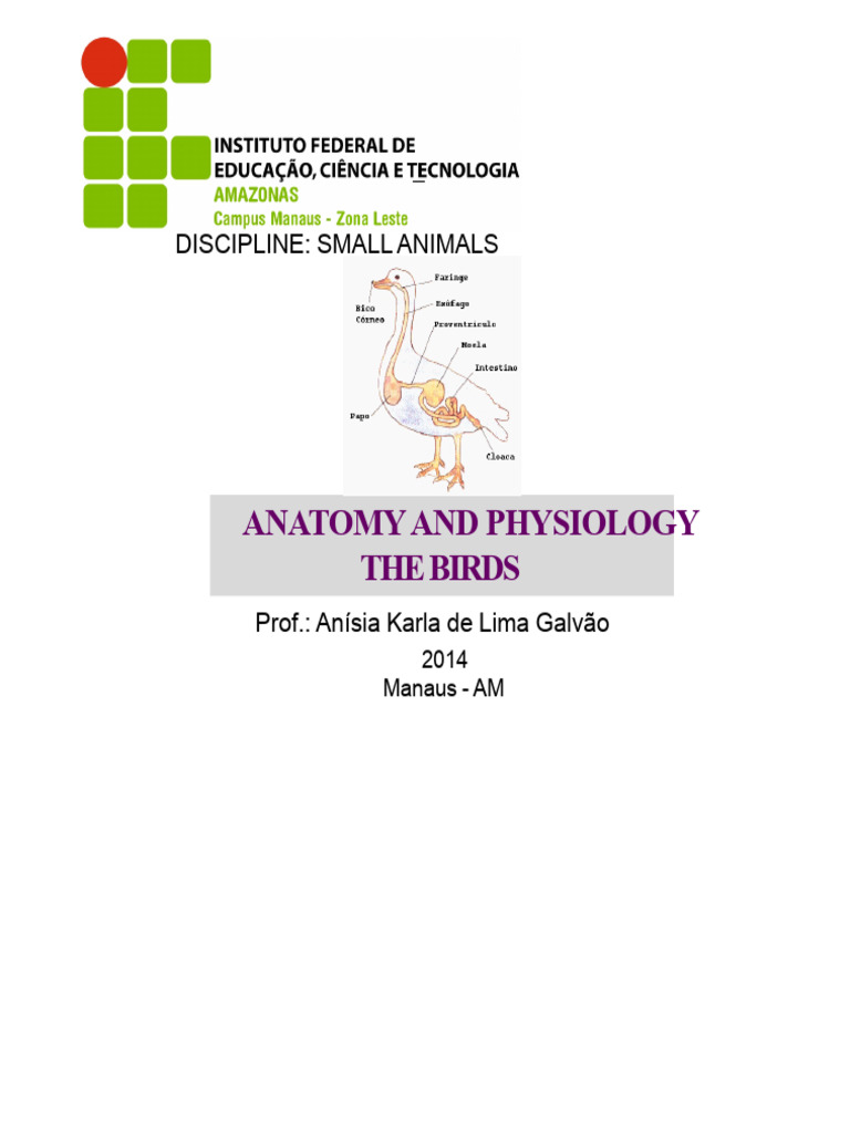 Lesson IV - Anatomy and Physiology of Birds | PDF | Digestion ...