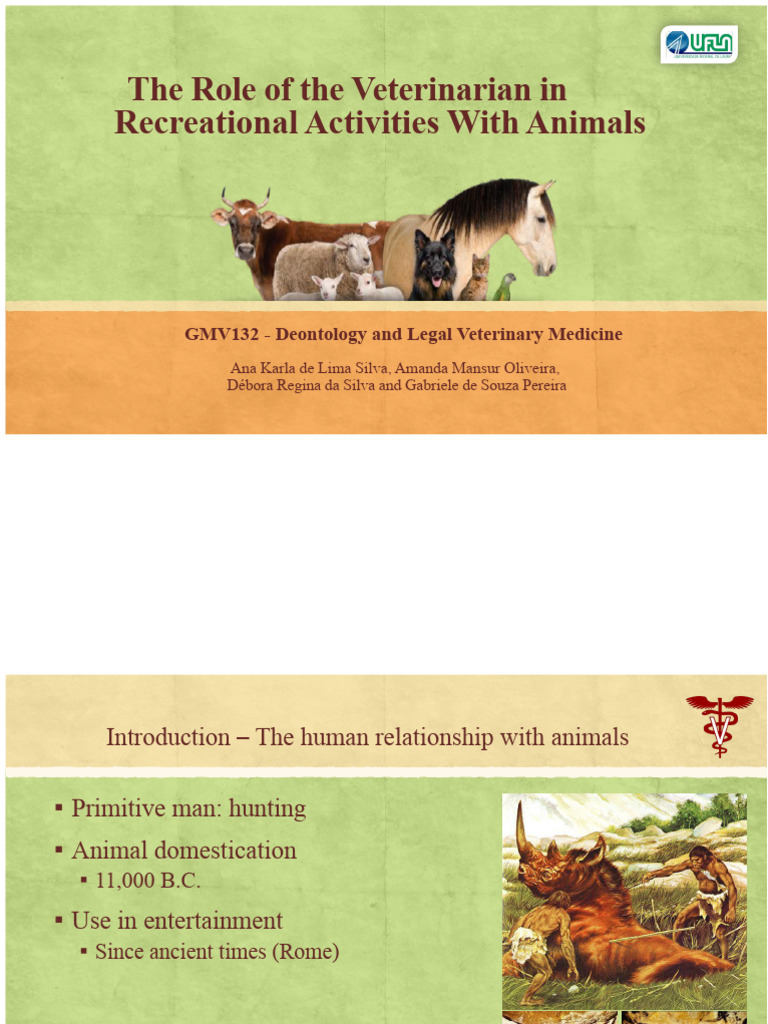 Recreational Activities With Animals - Slides | PDF | Rodeo ...