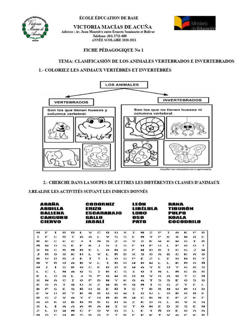 Activités sur les animaux vertébrés | PDF