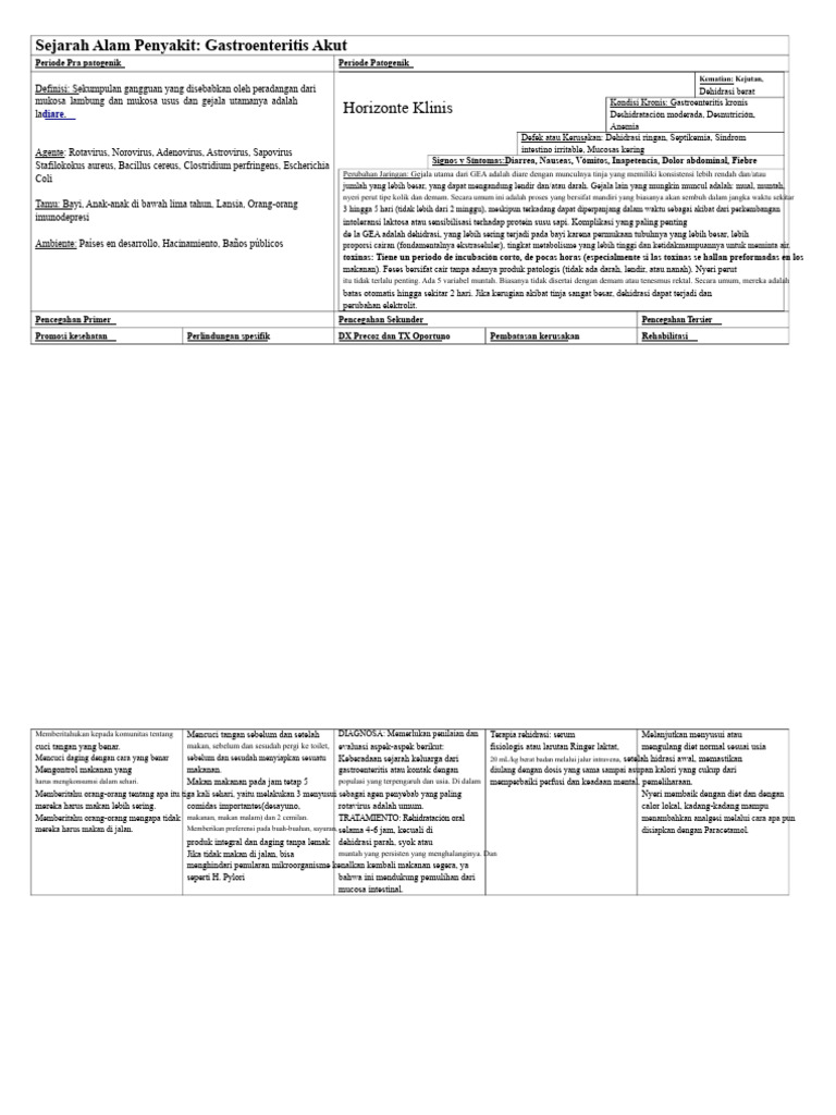 Panduan Lengkap Gastroenteritis Akut | PDF