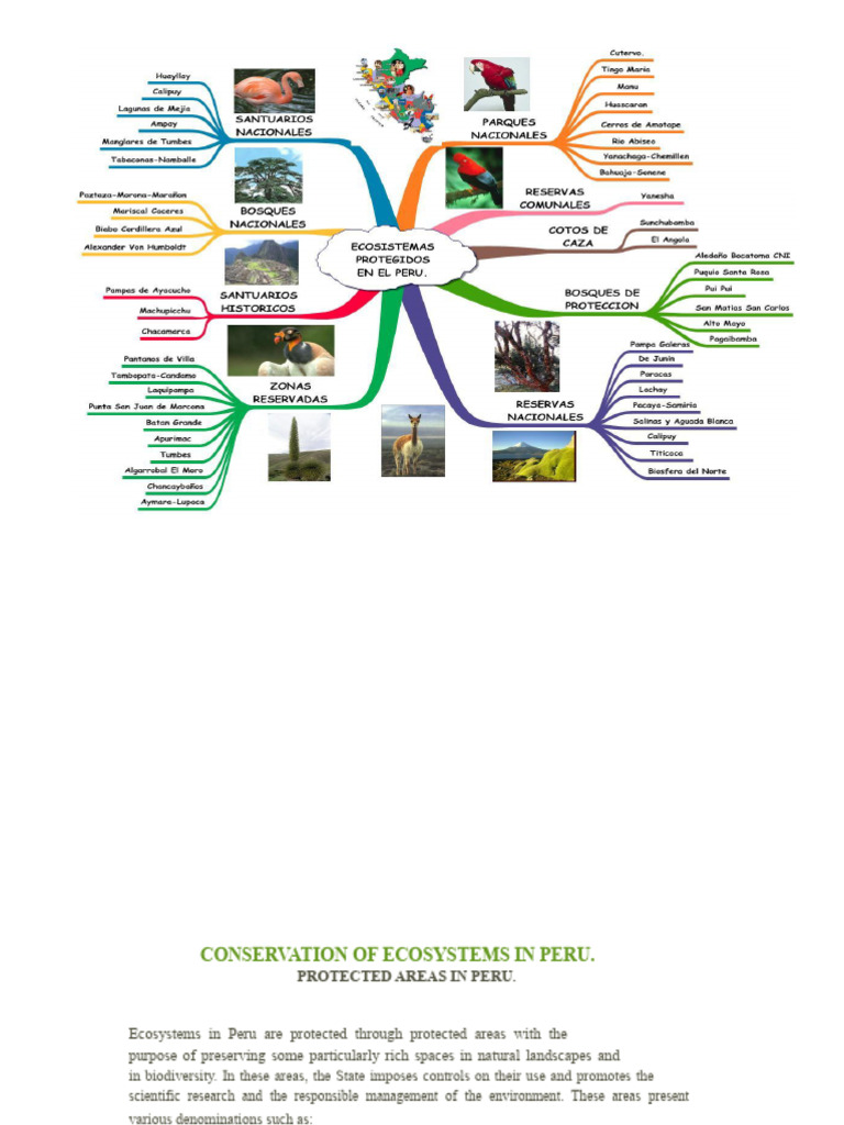 Conservation of Ecosystems in Peru | PDF | Mangrove | Machu Picchu