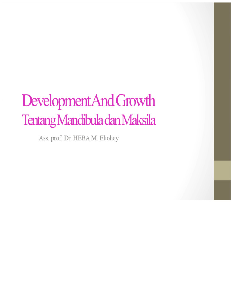 Pengembangan Mandibula dan Maksila | PDF