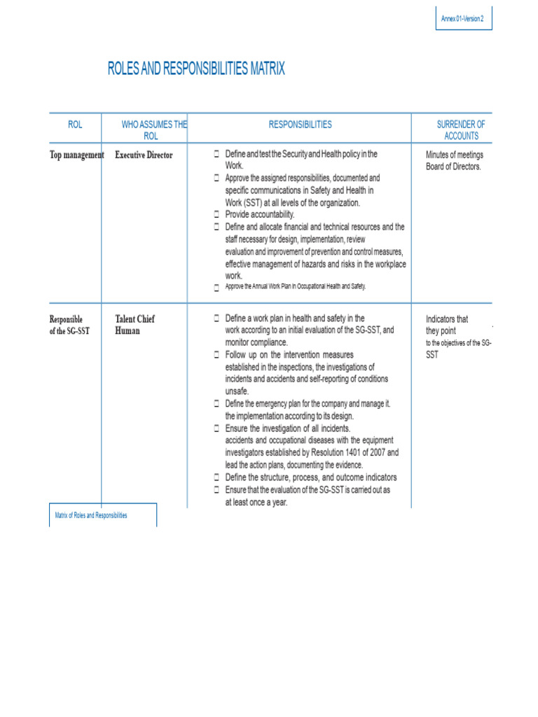 Matrix of Roles and Responsibilities | PDF | Occupational Safety And ...