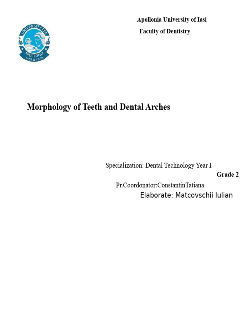 The Morphology of Teeth and Dental Arches | PDF | Dental Anatomy | Tooth