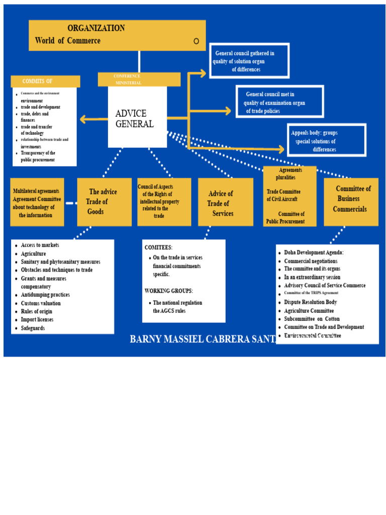 Structure of The World Trade Organization | PDF | World Trade ...