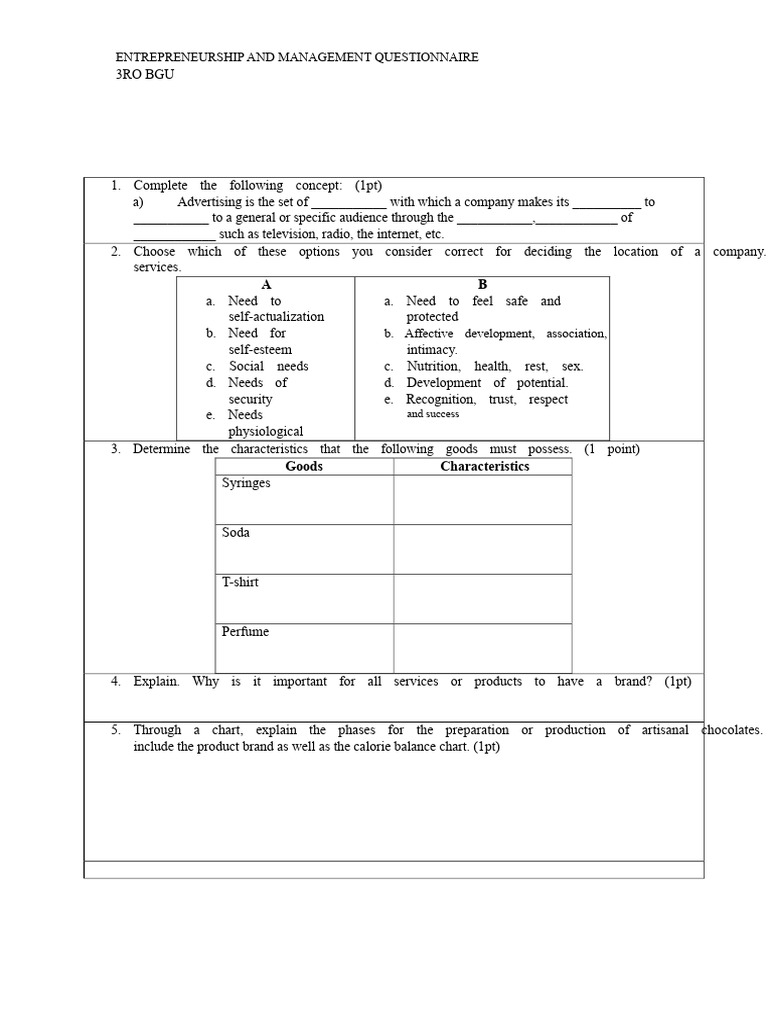 Questionnaire Entrepreneurship and Management 3RD Bgu | PDF