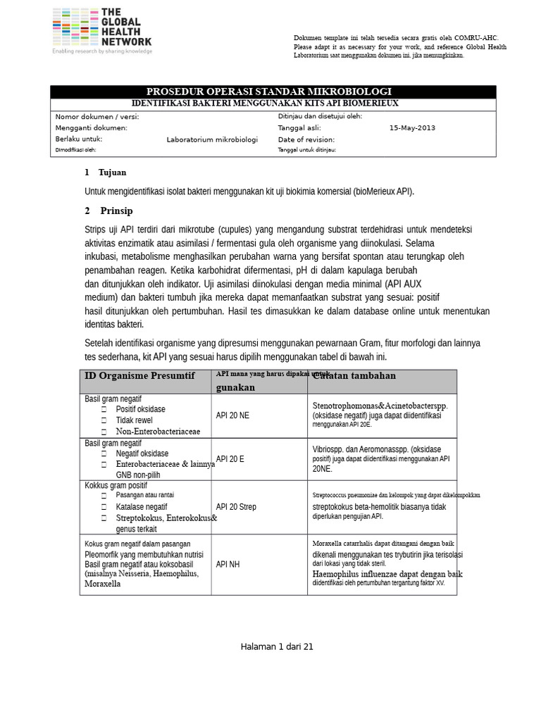 Identifikasi Bakteri dengan Kit API BioMerieux | PDF