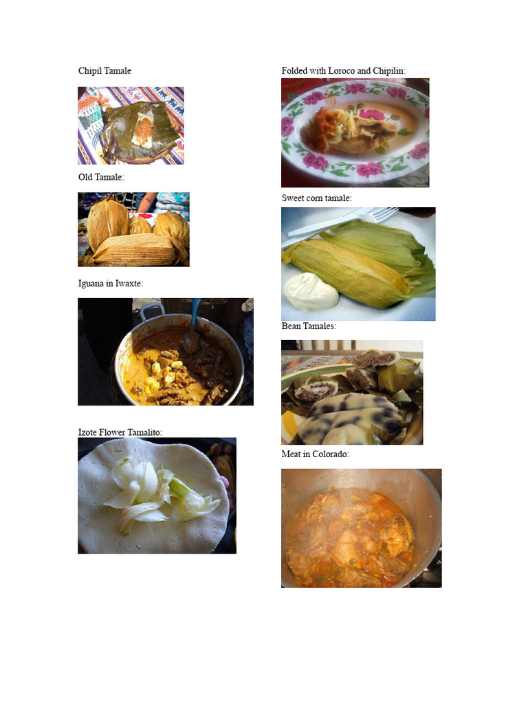Foods, drinks, and sweets of the Xinca culture.docx | PDF