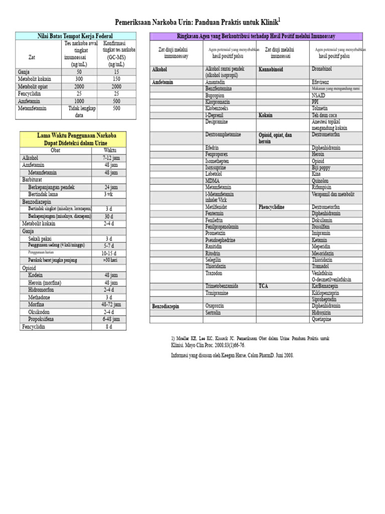 Pemeriksaan Obat Dalam Urin | PDF
