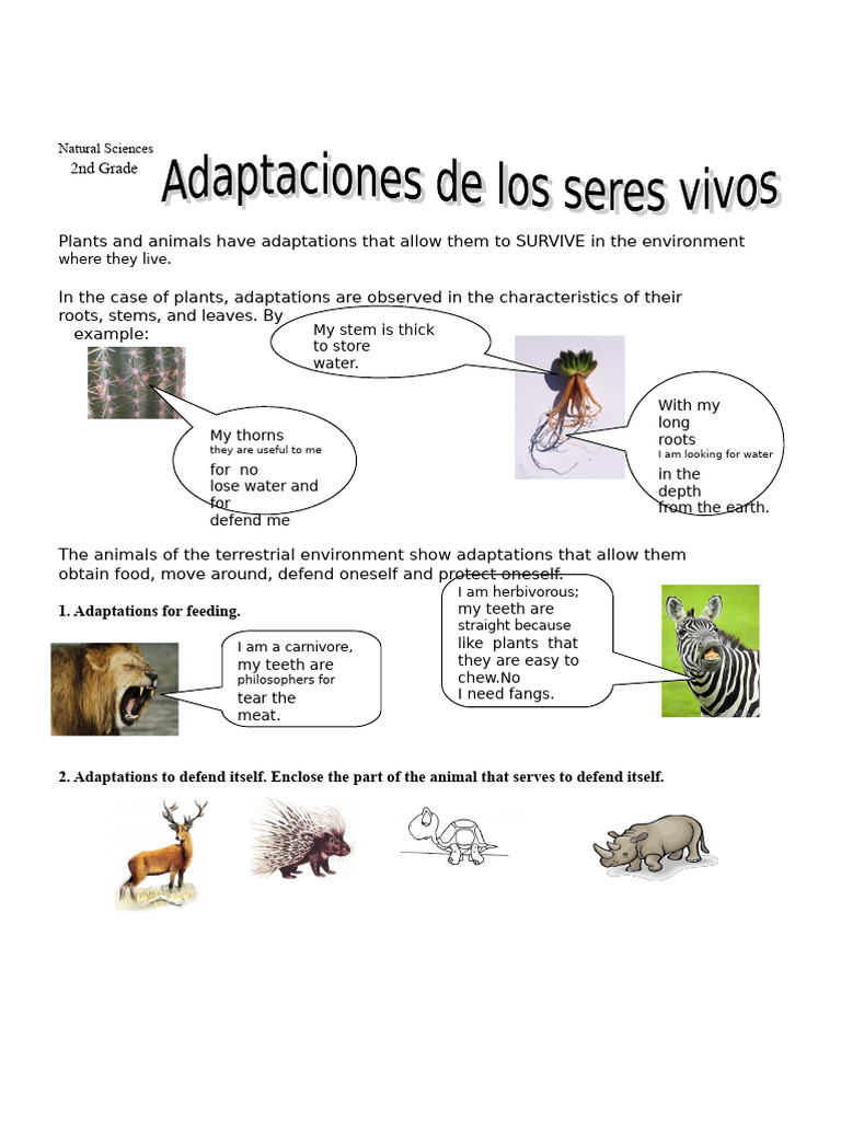 Cs Nat Adaptations of Living Beings | PDF | Adaptation | Plants