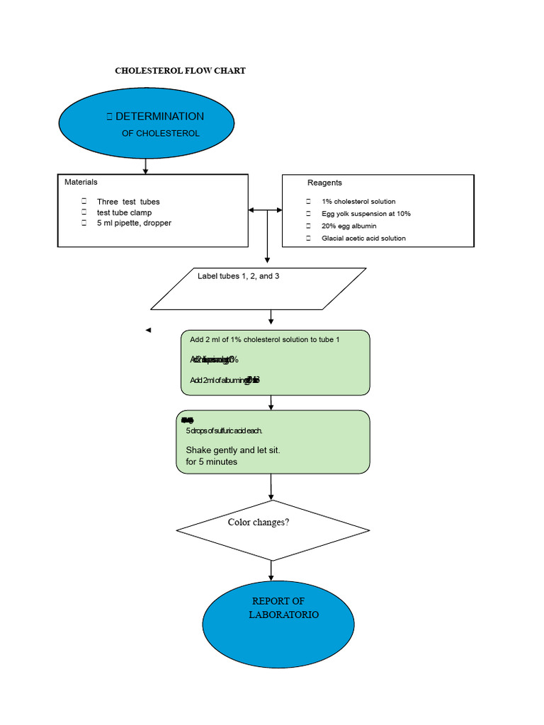 Cholesterol Flow Diagram 4 | PDF | Conceptual Model | Infographics