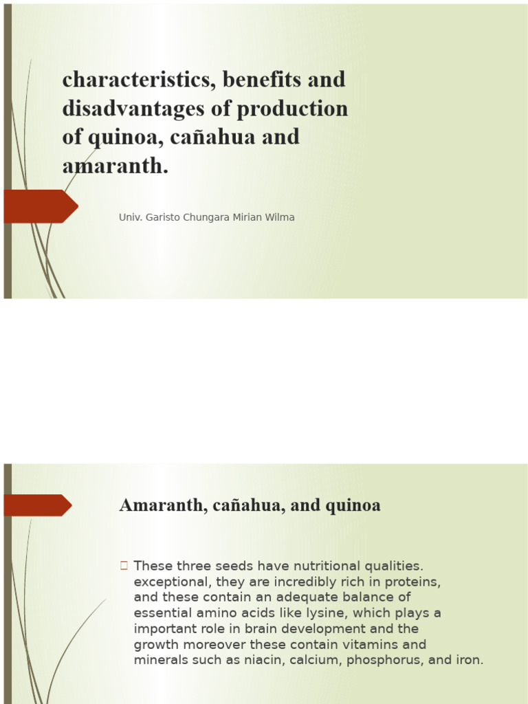 Quinoa, Cañahua, and Amaranth Overview | PDF | Cereals | Quinoa