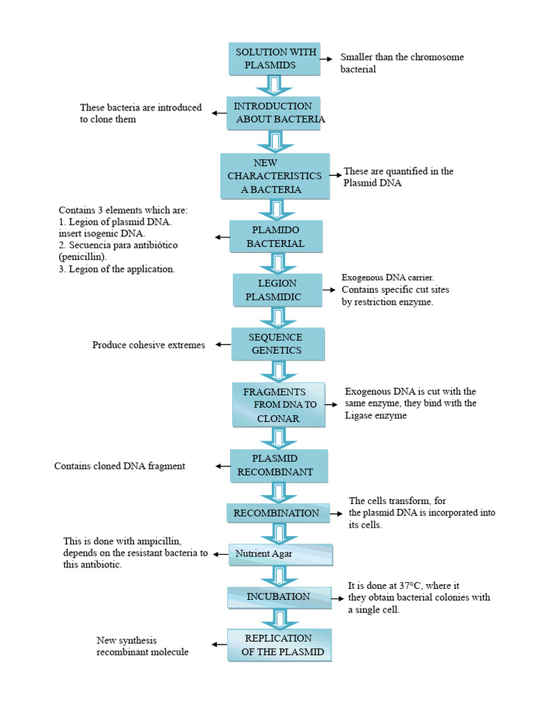 Flow Diagram Cloning | PDF