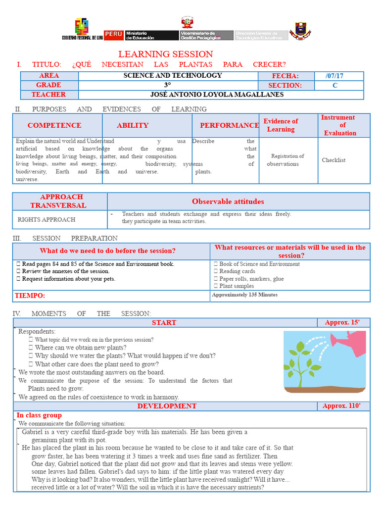 Essentials for Plant Growth in Science | PDF | Plant Nutrition | Foods