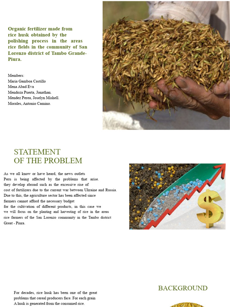 Organic Fertilizers From Rice Husk Obtained Through The Milling Process ...