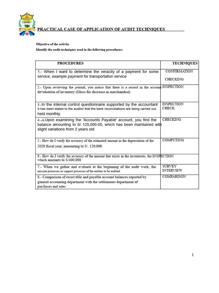 Practical Case of Audit Techniques | PDF